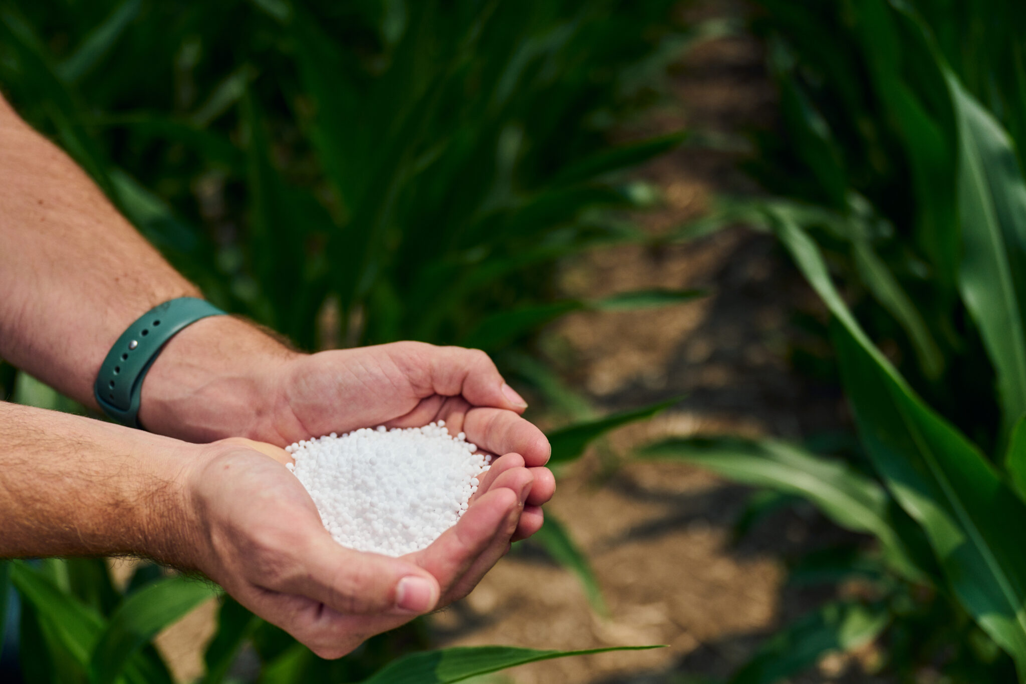 Decarbonizing the world’s nitrogen fertilizers – OCI